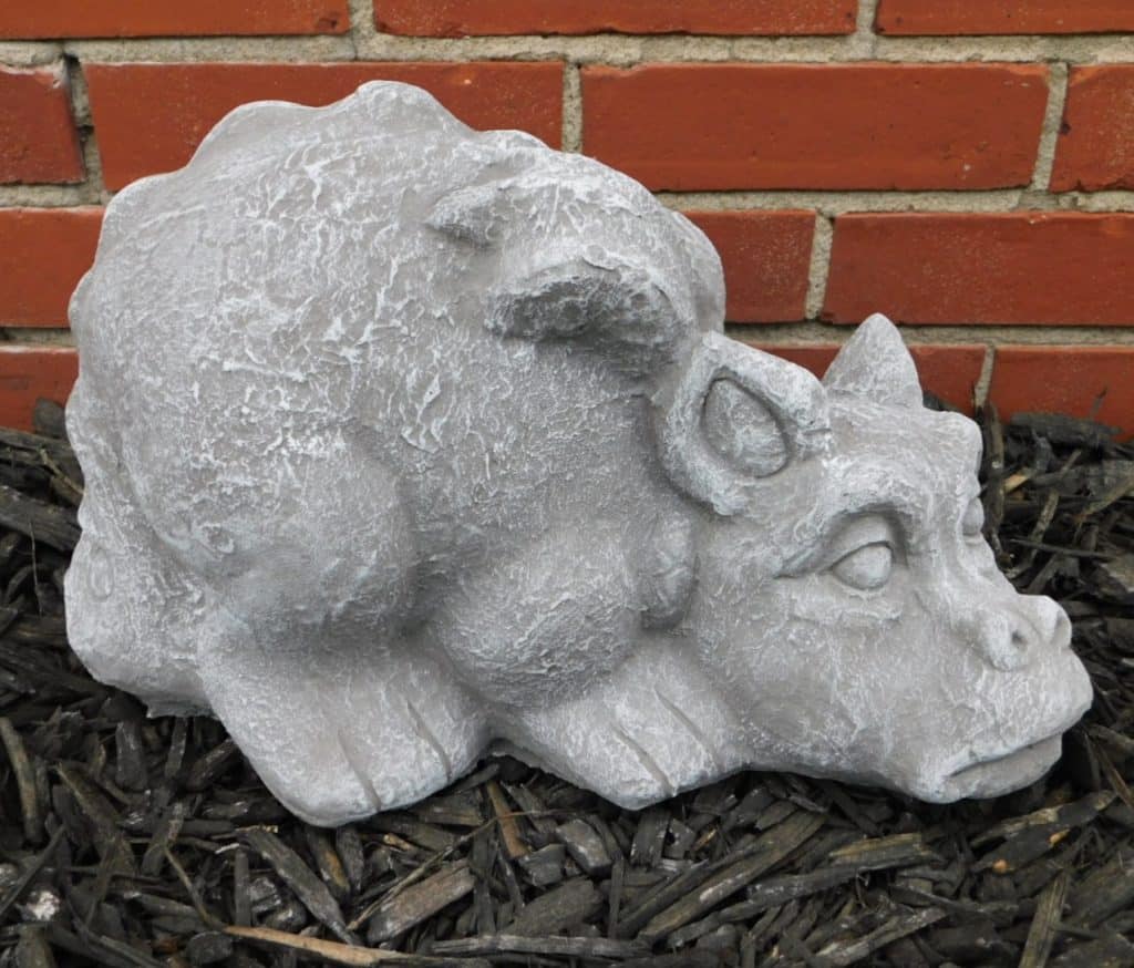 Chubby Dragon | Smith Garden Center