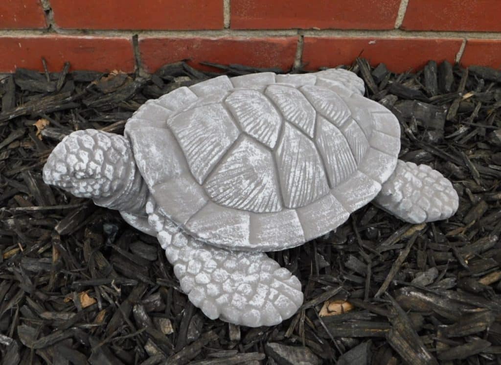 Sea Turtle | Smith Garden Center